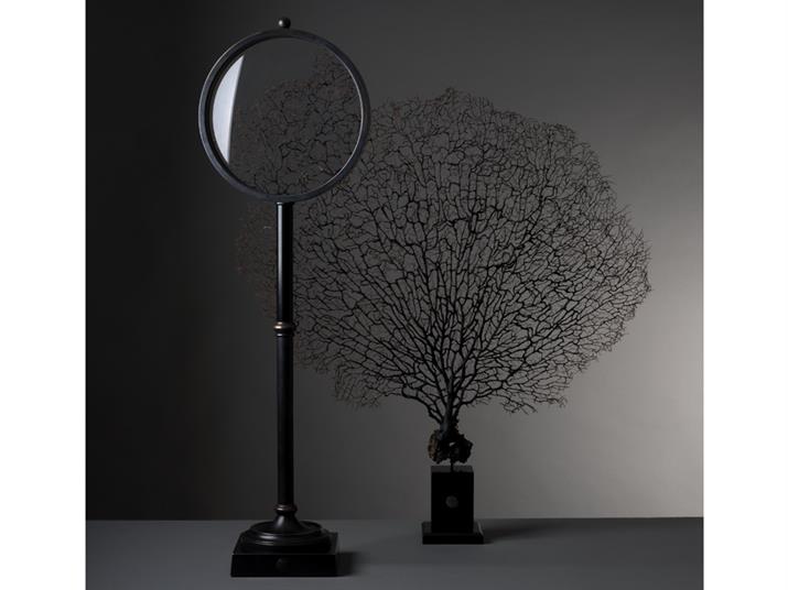 Darwin Magnifying Glass - Villiers